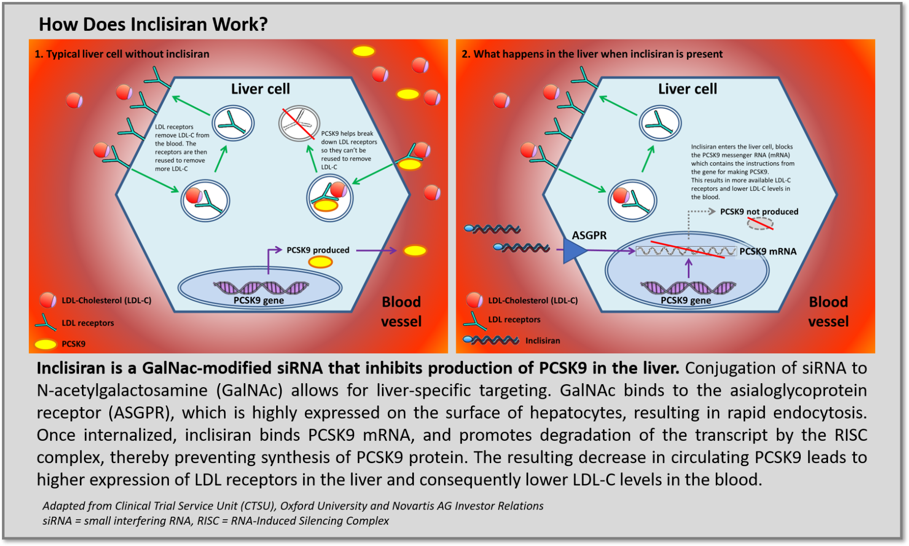 Is Novartis’ RNA Therapeutic Inclisiran Poised to Displace PCSK9 ...